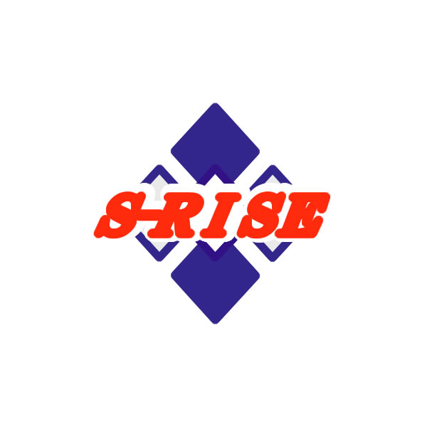 株式会社エスライズシステム